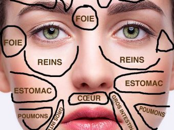 La carte du visage de médecine traditionnelle révèle quelle partie de ...